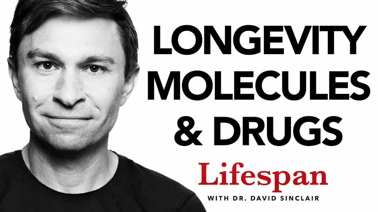 Unlocking the Secrets of Longevity with Dr. David Sinclair